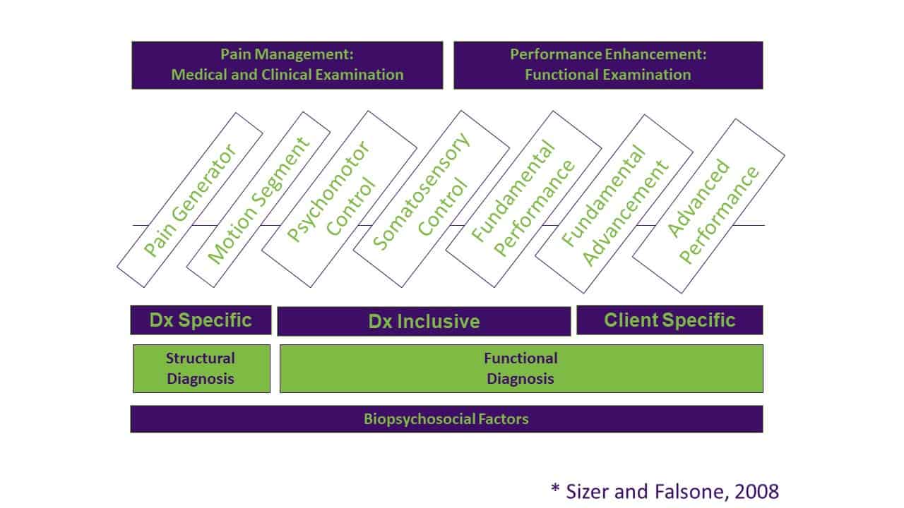 Bridging the Gap from Rehab to Performance - Sue Falsone